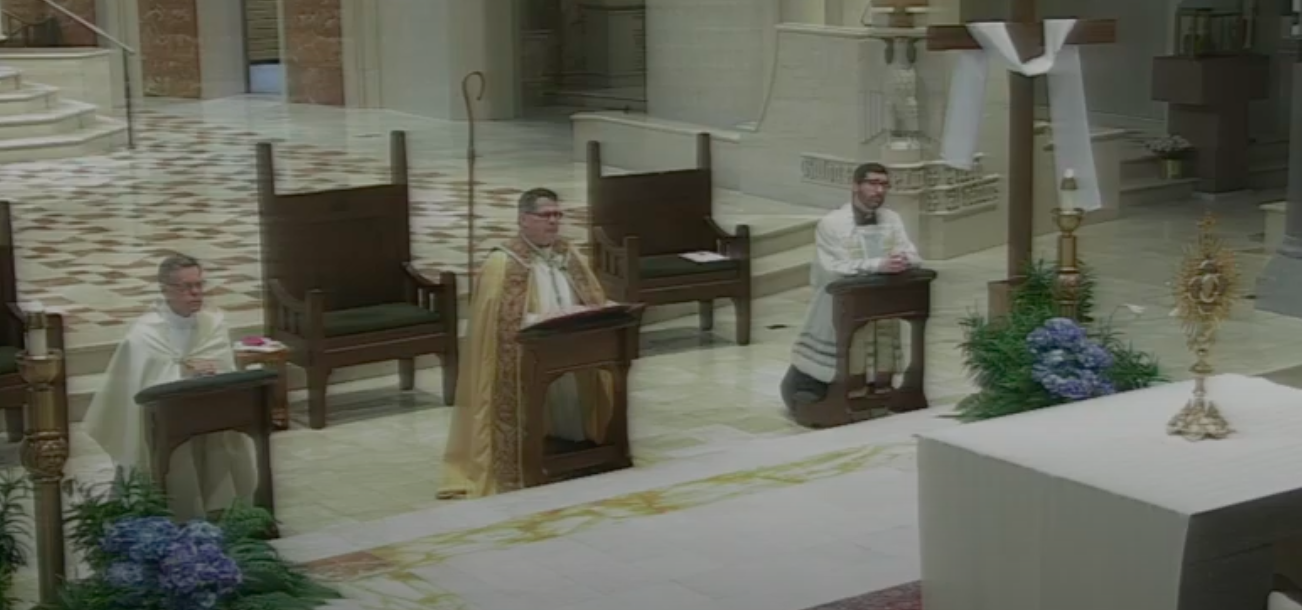 ‘Your vocation is the deepest revelation of who you are’: World Day of ...